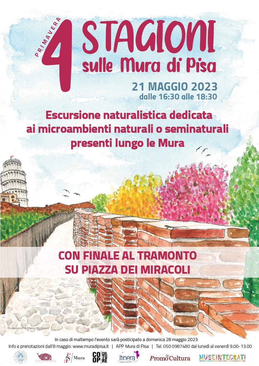 4 seasons on the Walls of Pisa- Spring | Comune di Pisa - Turismo