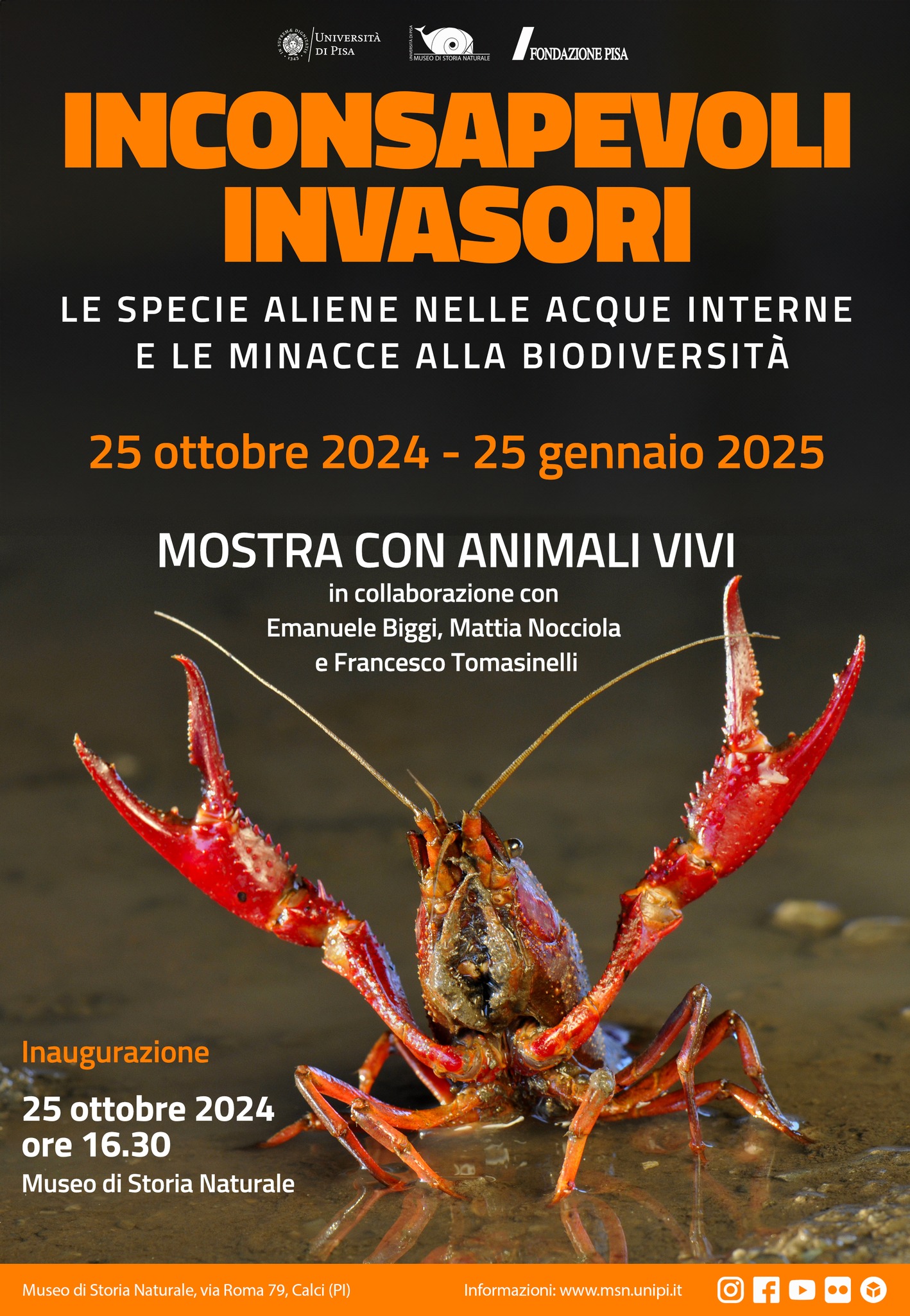 Unconscious invaders. Exhibition at the Natural History Museum of Calci | Comune di Pisa - Turismo