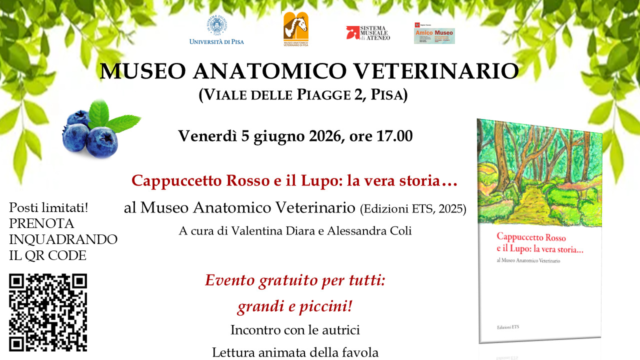 Cappuccetto Rosso e il lupo. La vera storia al Museo Anatomico ...