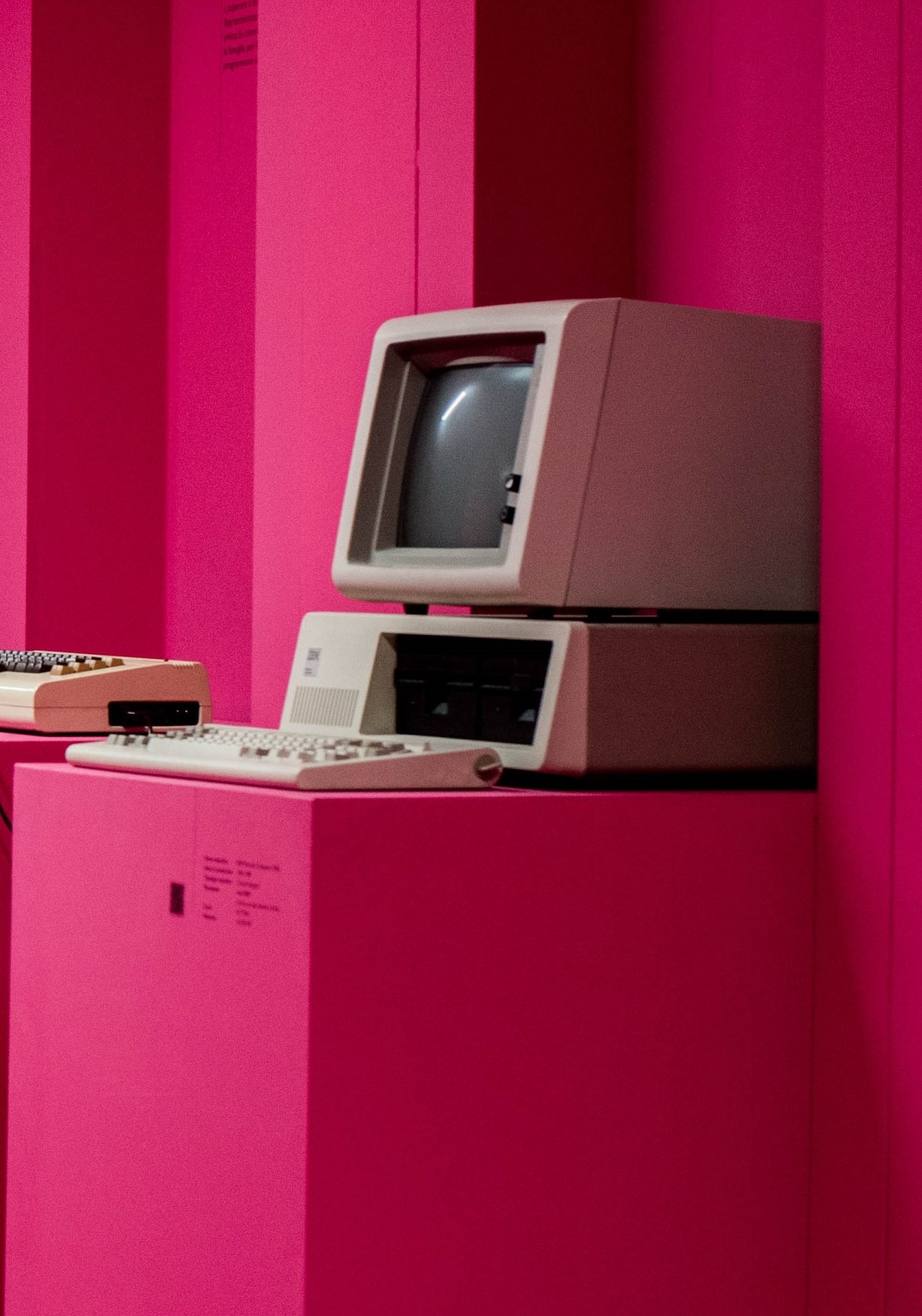 Opening of Hello World | Comune di Pisa - Turismo